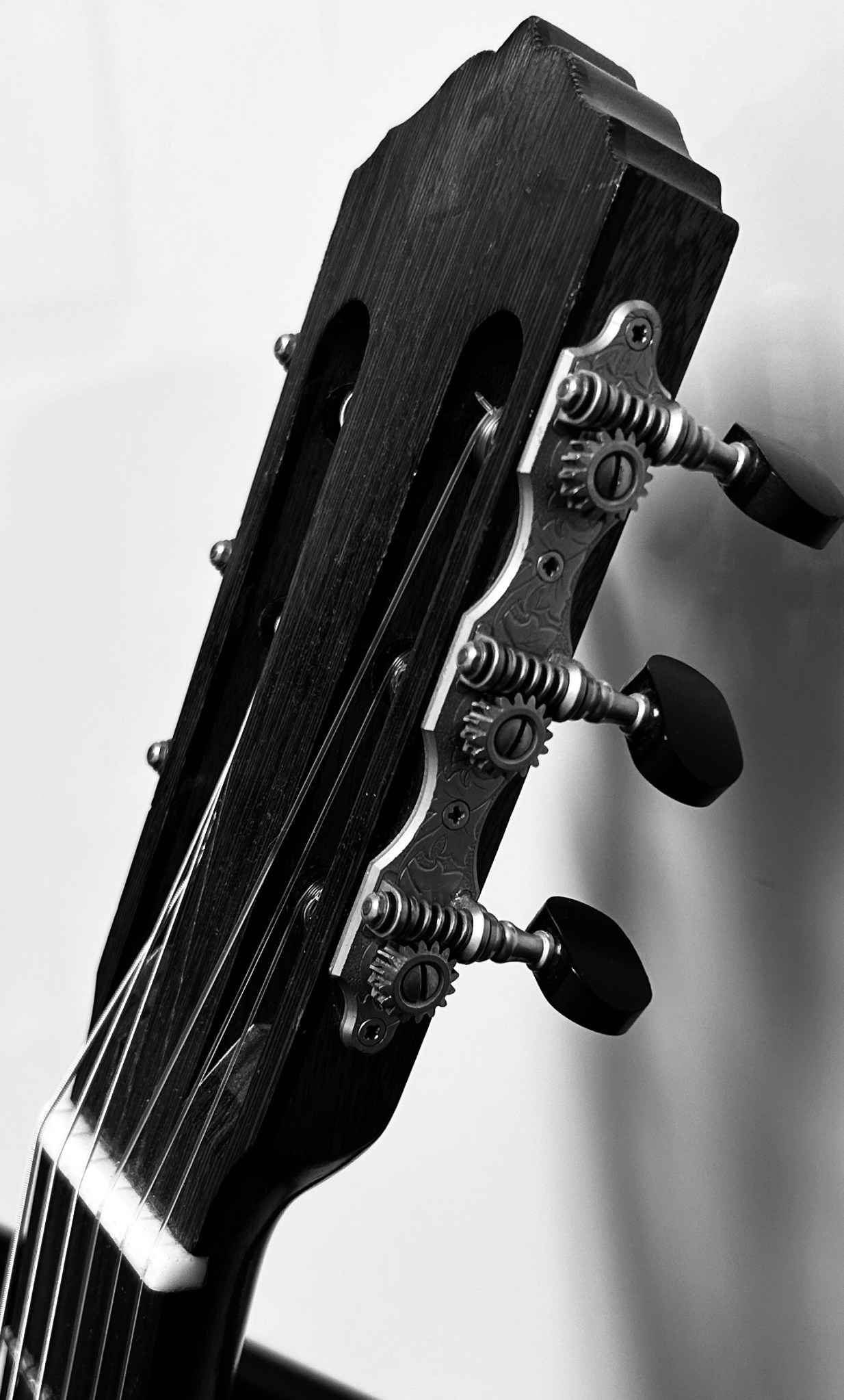 OC GUITARS: David's Guitar, Ukulele, and Bass Lessons